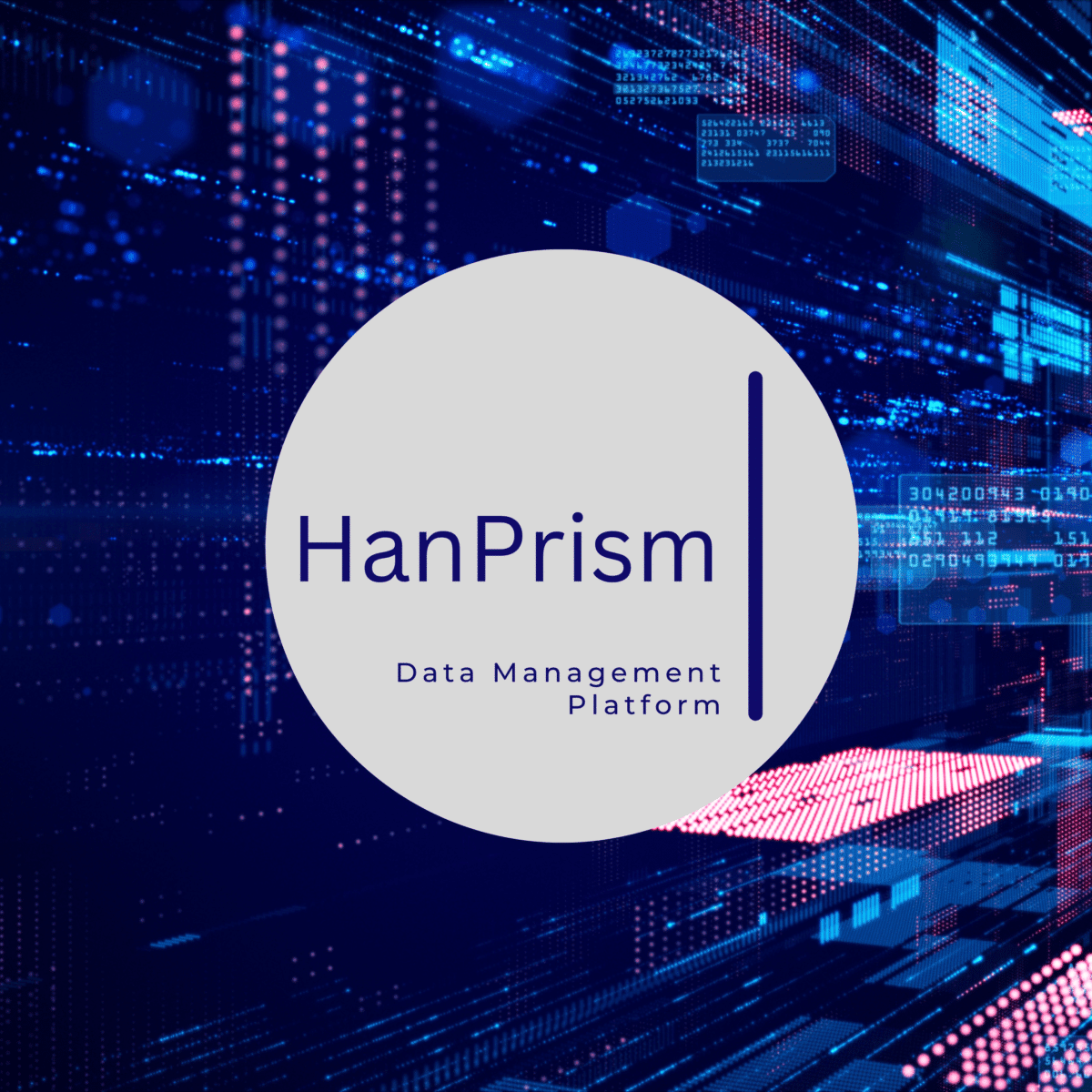 Data Solution Overview | HanAra Software